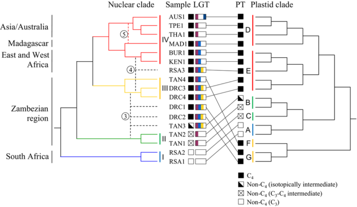 Adaptive evolution of complex traits explored through genome ...