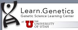 LearnGenetics:Epigenetics (Genetic Science Learning Center, University ...