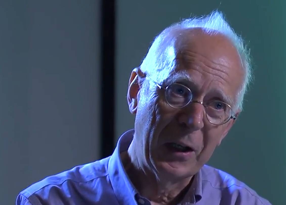 Video: How plants changed how we understand biology (David Baulcomb ...