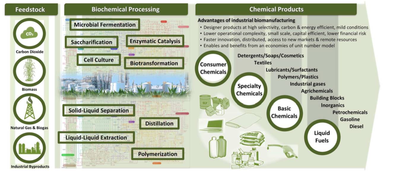 Review: Industrial biomanufacturing: the future of chemical production ...