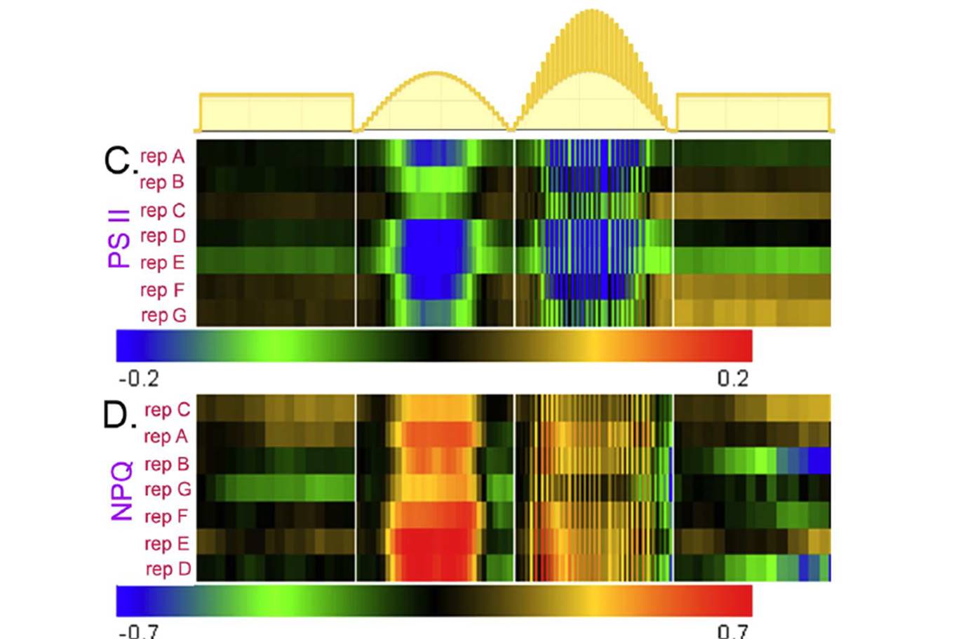 A shadow detector for photosynthesis efficiency ($) | Plantae