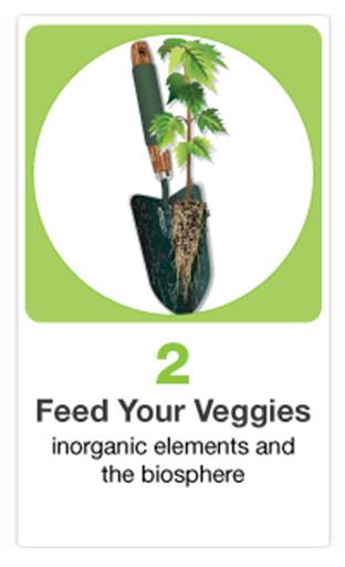 12 inquiry-based labs to explore the 12 principles of plant biology ...