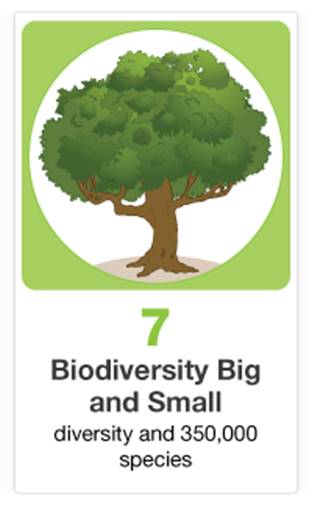 12 inquiry-based labs to explore the 12 principles of plant biology ...