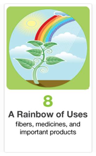 12 inquiry-based labs to explore the 12 principles of plant biology ...