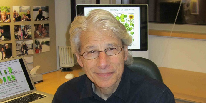 Luminaries: Bob Goldberg | Plantae