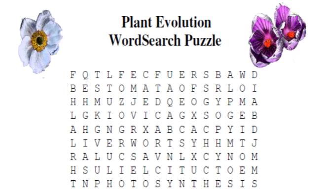 Plant evolution and diversity word search | Plantae