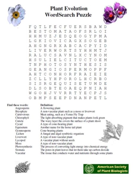 Plant evolution and diversity word search | Plantae