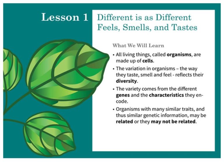 It’s all in the touch: Plant Biology Curriculum for grades 5 - 8 (ages ...