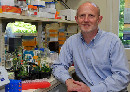 Luminaries: Rob Martienssen | Plantae