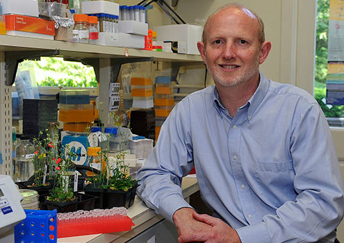 Luminaries: Rob Martienssen | Plantae