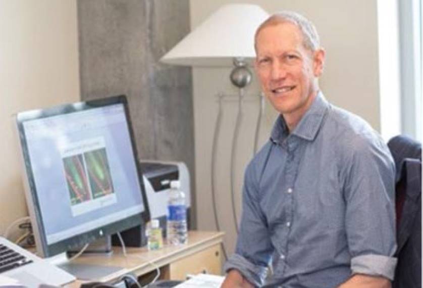 Luminaries: Philip N. Benfey | Plantae