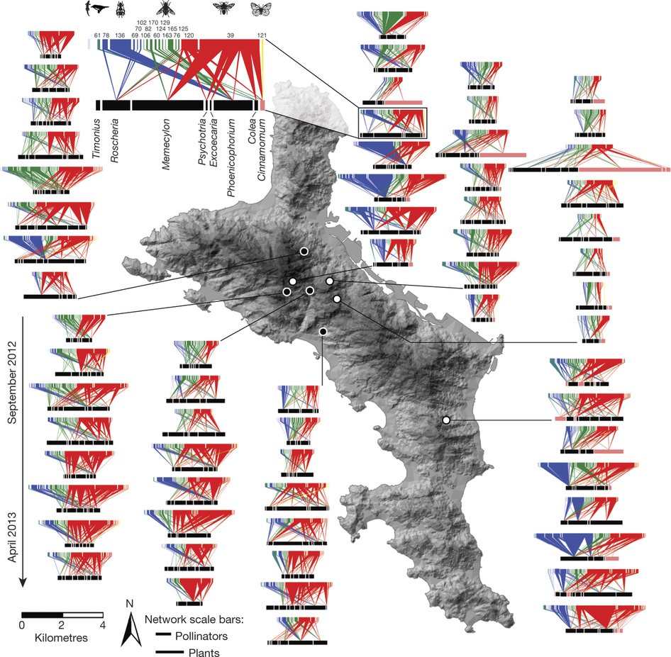 Ecosystem restoration strengthens pollination network resilience and ...