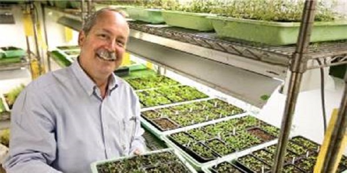 Profile of Elliot Meyerowitz from The Scientist (2017) | Plantae