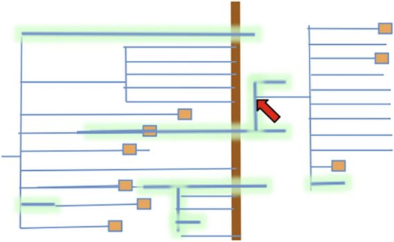 Letter: Picking up the ball at the K/Pg boundary: Ancient polyploidies ...