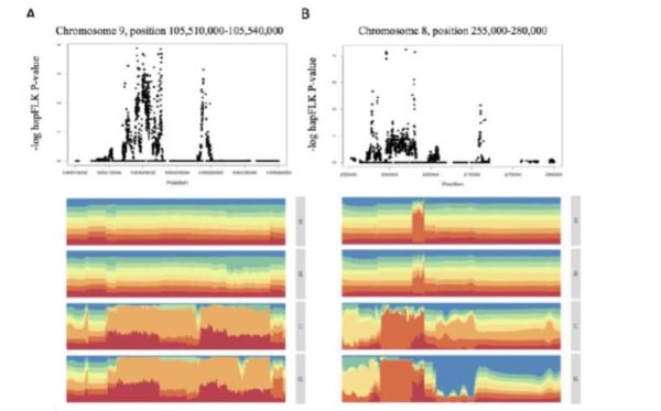 Signatures Of Local Adaptation In Lowland And Highland Teosintes From