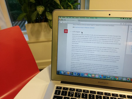 Plantae | Plain-language summaries of research | Plantae