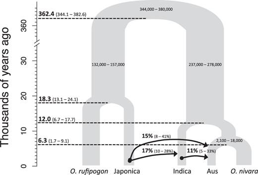 The rice paradox: Multiple origins but single domestication in Asian ...