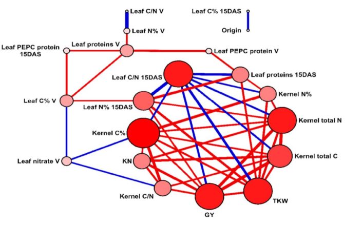 Exploiting maize genetic diversity: Metabolomic, enzyme activity ...