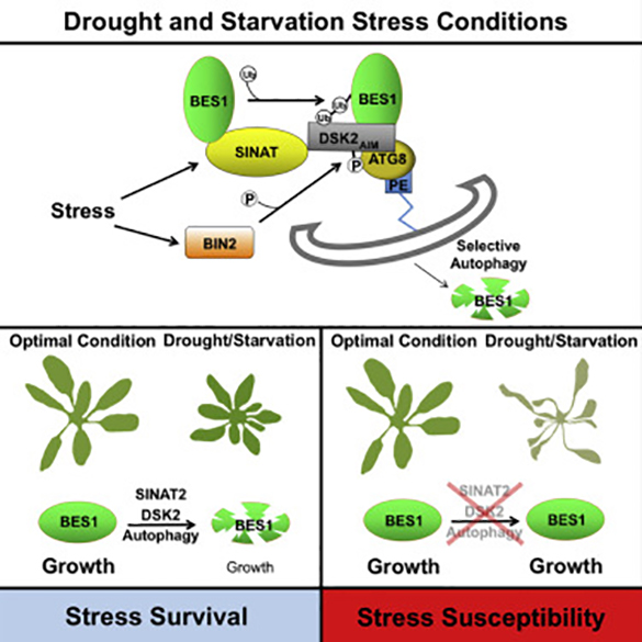 What We’re Reading: April 21 | Plantae
