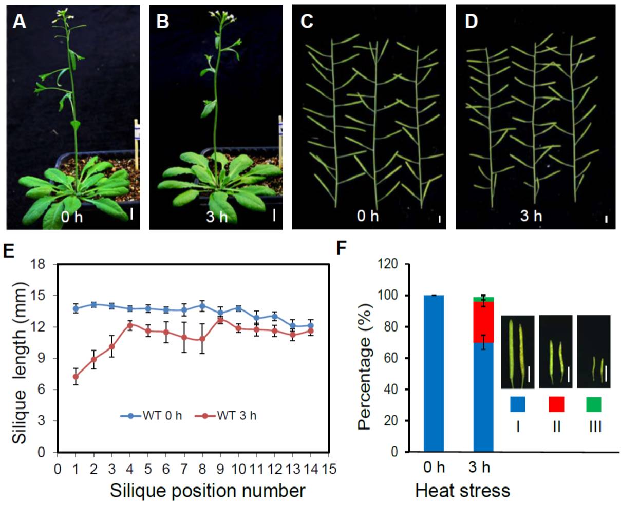 What We’re Reading: April 28 | Plantae