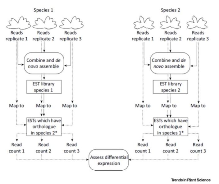 Review: Insights into plant adaptation from transcriptomics and ...
