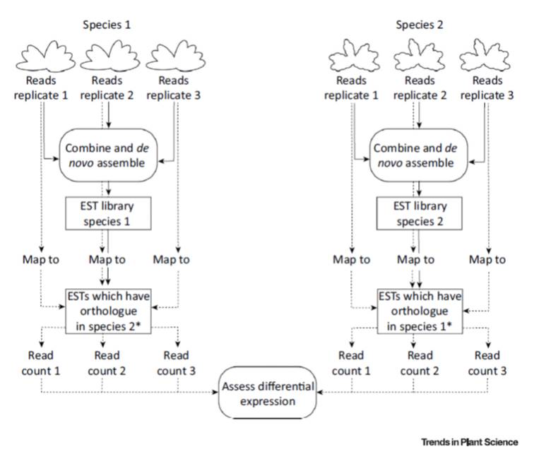 Review: Insights into plant adaptation from transcriptomics and ...