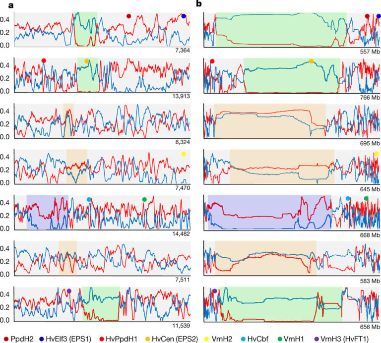 A chromosome conformation capture ordered sequence of the barley genome ...