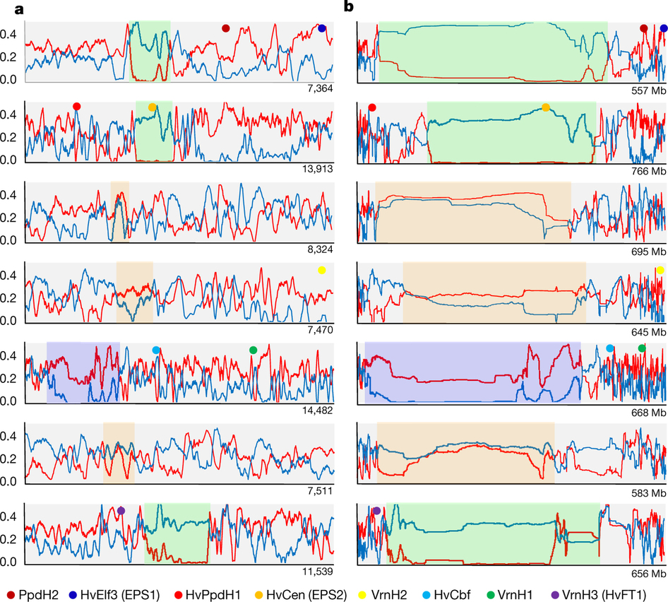 A chromosome conformation capture ordered sequence of the barley genome ...