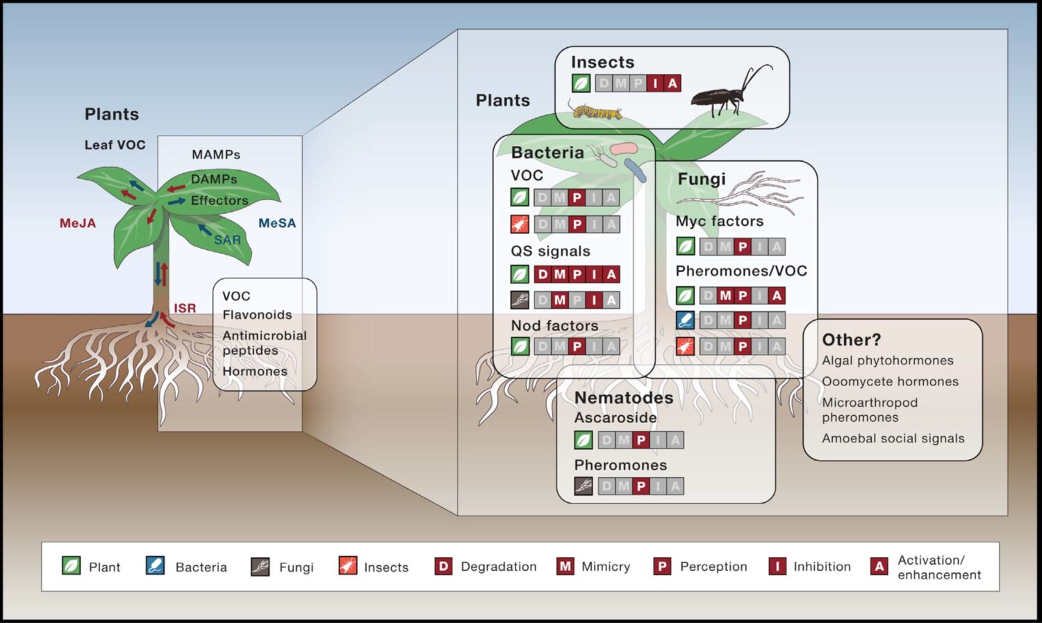What We’re Reading: May 19th | Plantae