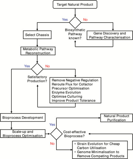 Plantae | Review: Synthetic biology approaches for the production of ...