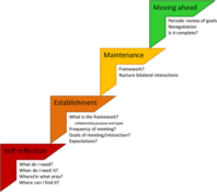 Mapping a Mentoring Roadmap and Developing a Supportive Network for ...