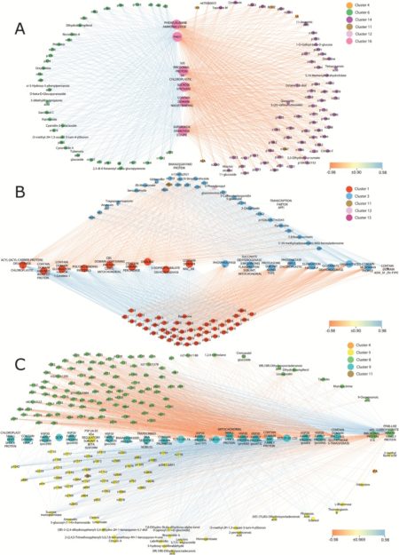 Plantae | What We’re Reading: June 30th | Plantae
