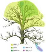 What We’re Reading: June 23rd | Plantae