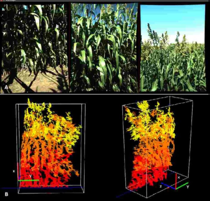 What We’re Reading: June 23rd | Plantae