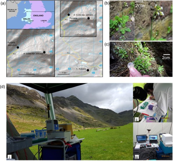 What We’re Reading: September 1st | Plantae
