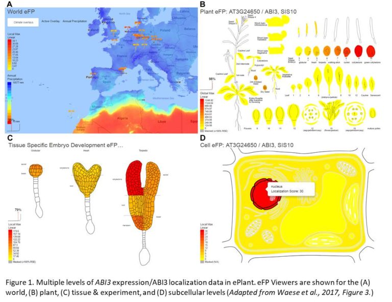 So Much Data, So Little Time: ePlant Steps into the Breach for Plant ...