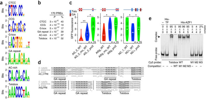 What We’re Reading: August 25th | Plantae