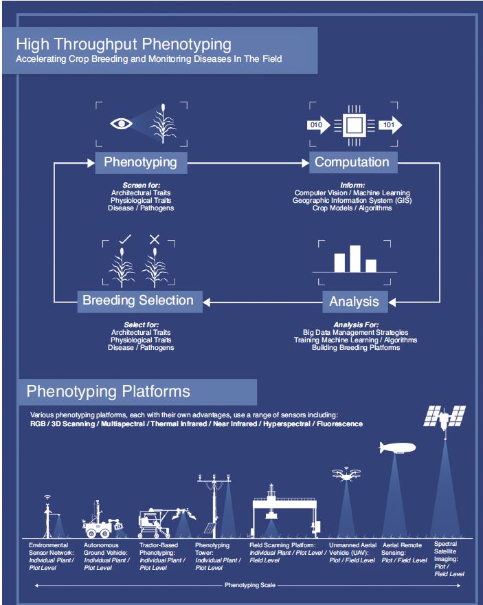 High throughput phenotyping to accelerate crop breeding and monitoring of diseases in the field ...