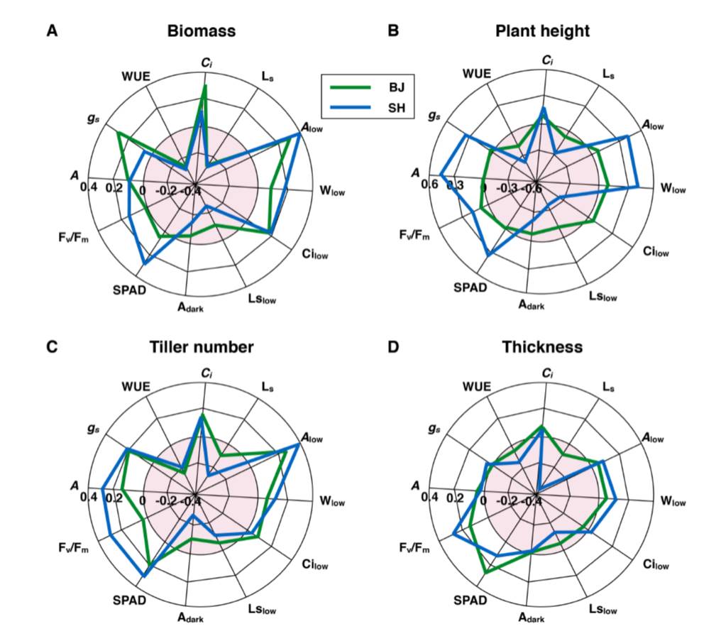 Leaf Photosynthesis and Biomass Accumulation | Plantae