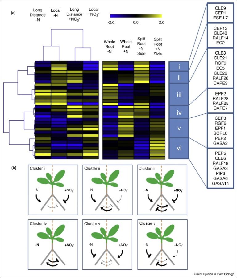 What We’re Reading: August 18th | Plantae