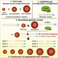 Improving Crops By Genome Editing Plantae