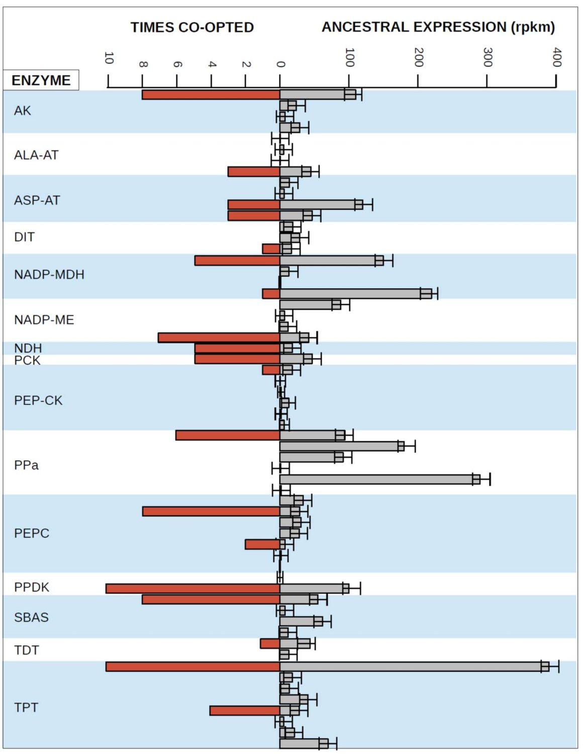 Highly expressed genes are preferentially co-opted for C4 ...