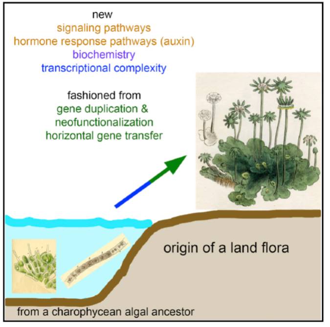 What we’re reading: October 13th | Plantae