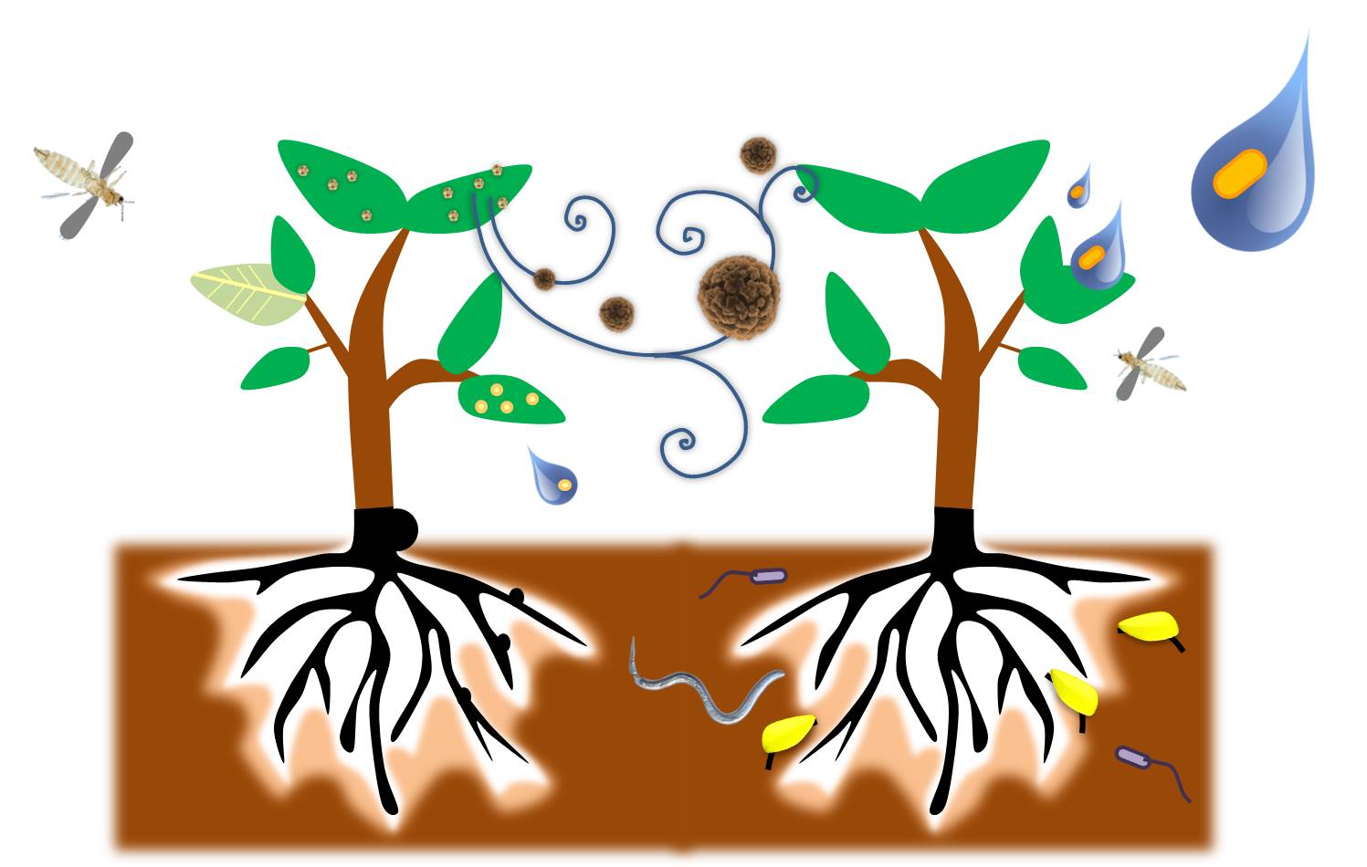 Images for Impact – How-to tips. Created for the Plantae Seminar Series ...