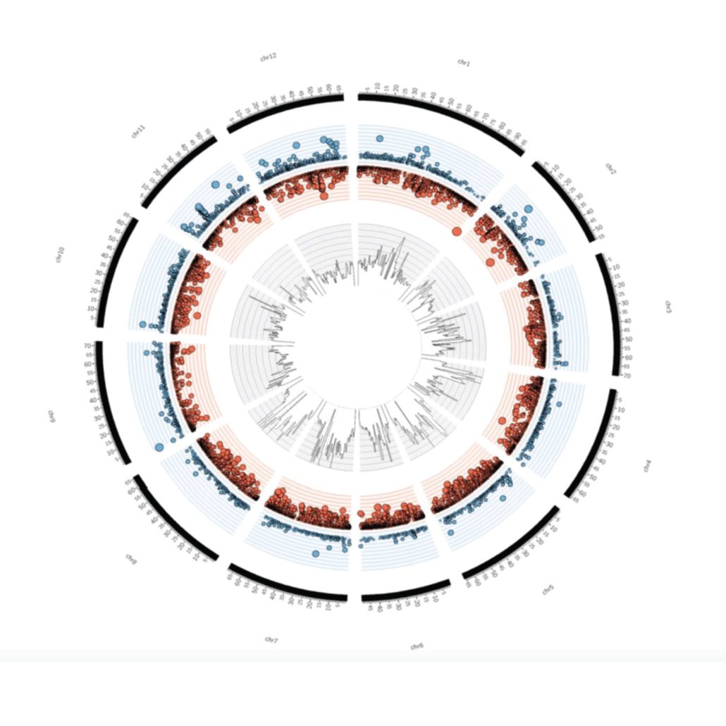 The genome sequence of the wild tomato Solanum pimpinellifolium ...