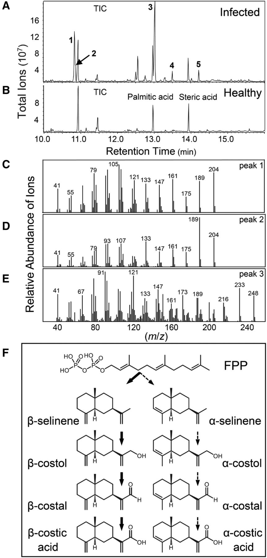 Chemical Defenses of Maize Roots | Plantae