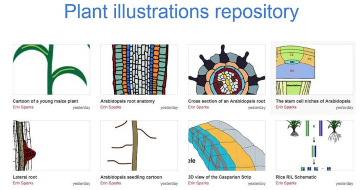 Highlights of plant science 2017. Mar-Apr | Plantae