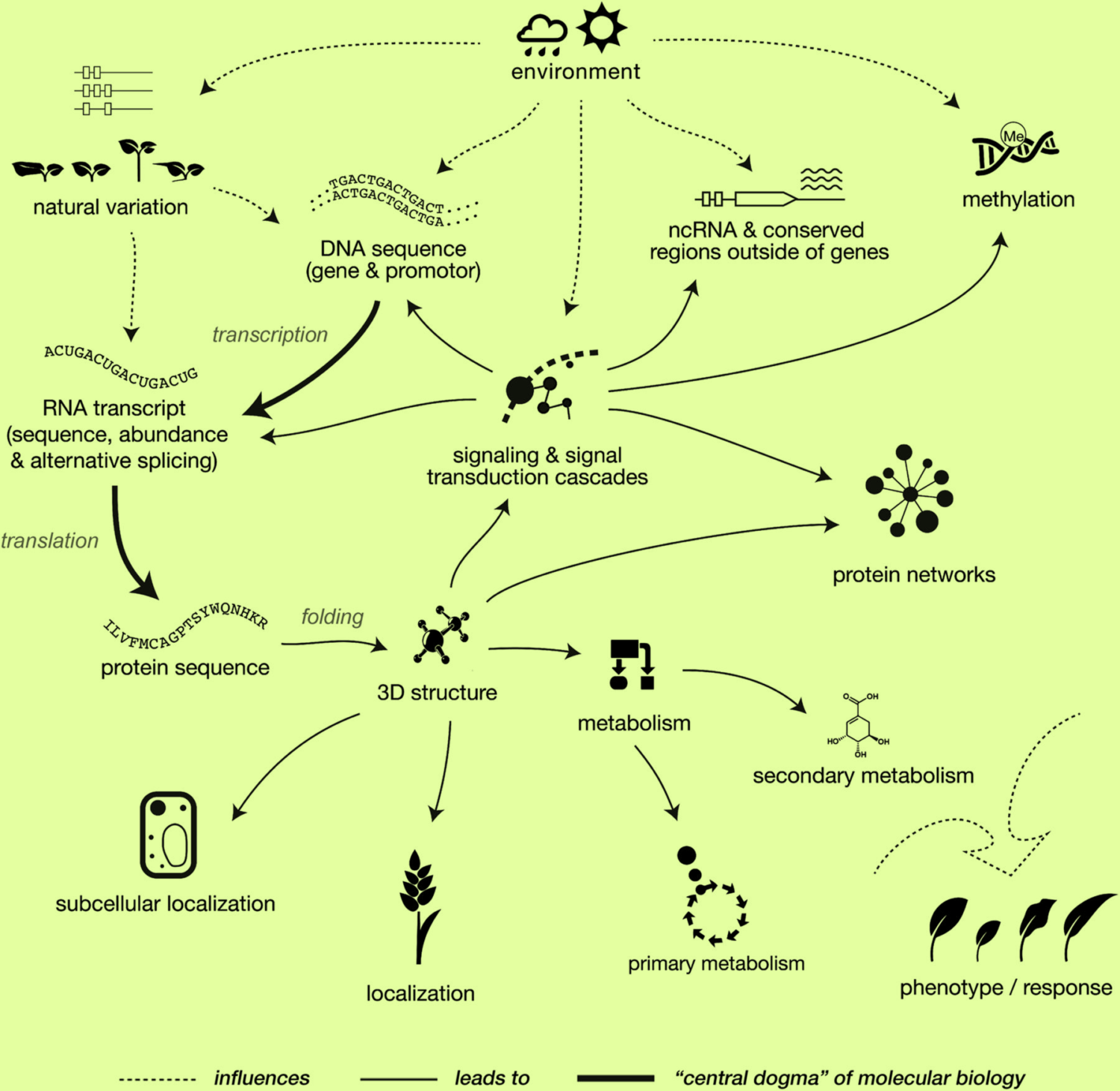 Highlights of plant science 2017. Jul-Aug | Plantae