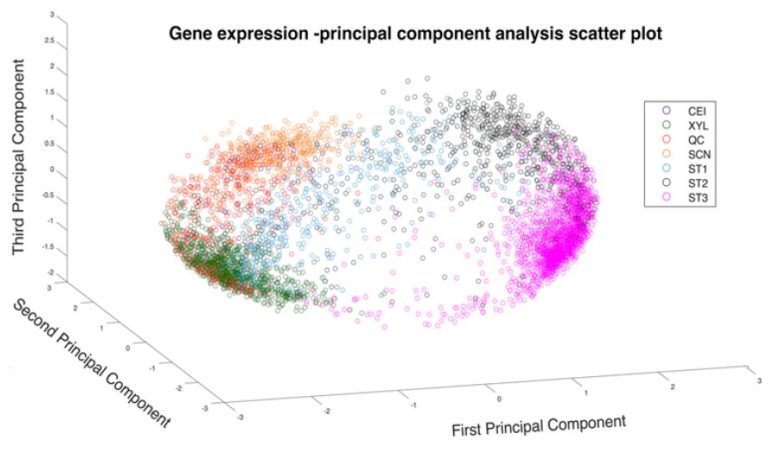 Predicting Gene Regulatory Networks By Combining Spatial And Temporal Gene Expression Data In