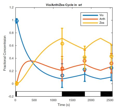 What We’re Reading: January 19th | Plantae